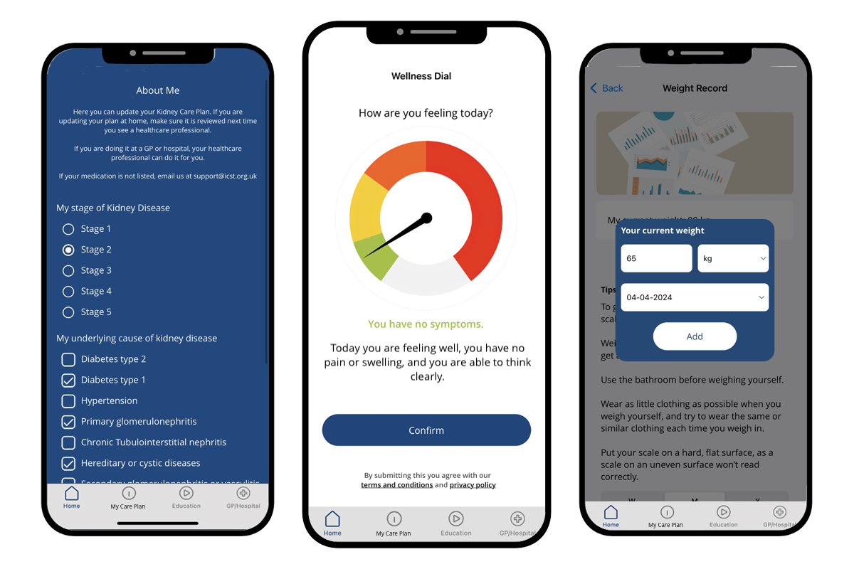Renal Toolkit - ICST